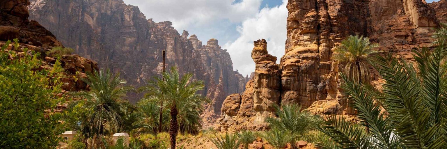 Ecoryx ESG Sustainability Saudi Arabia